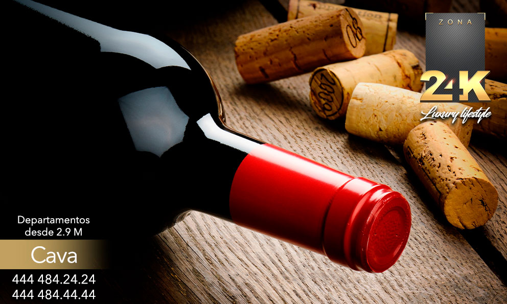 Que Tal Virtual | Revista Sociales San Luis Potosí, S.L.P. FIESTA ...