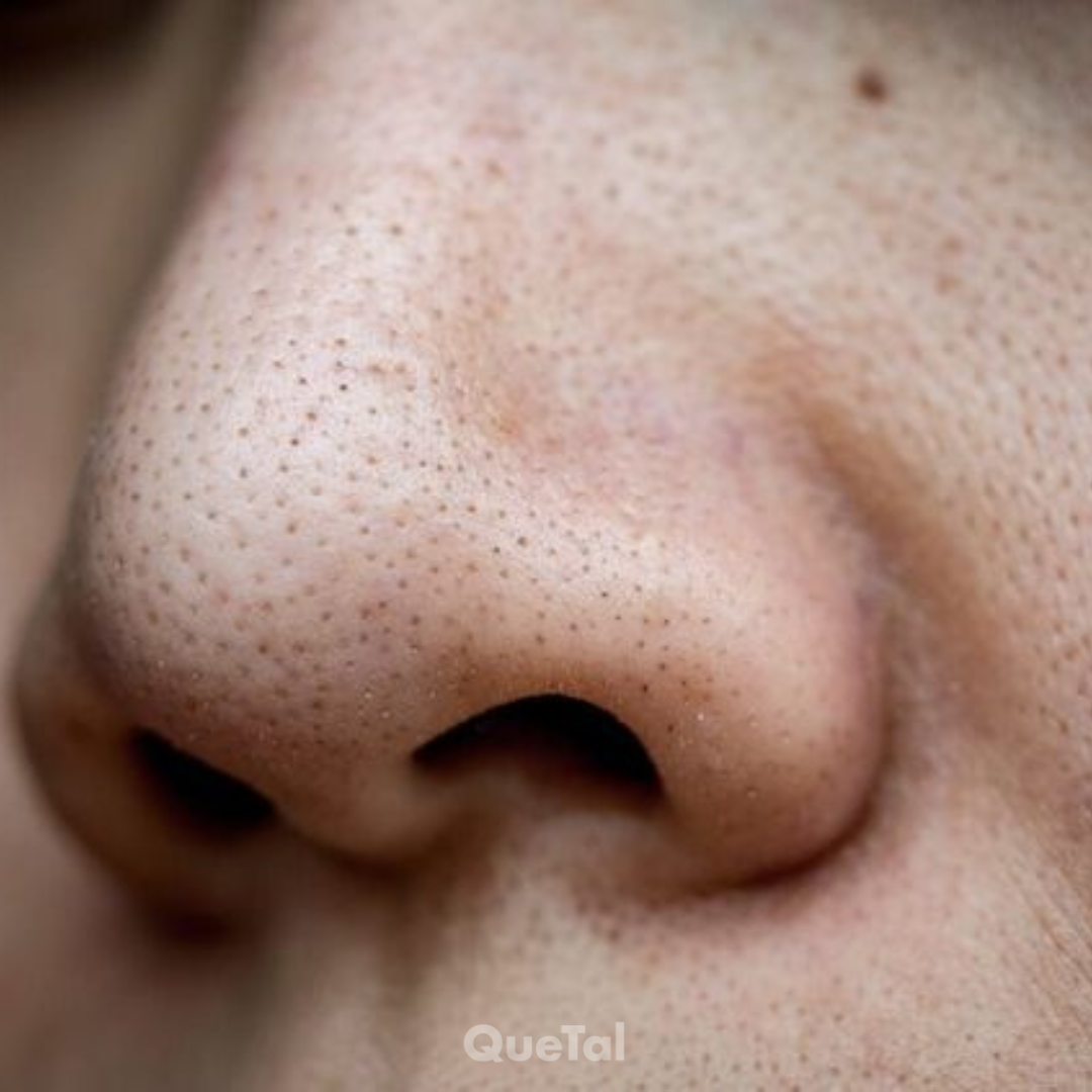 Que Tal Virtual | Revista Sociales San Luis Potosí, S.L.P. DESCUBRE ...