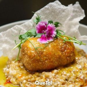 Que Tal Virtual | Revista Sociales San Luis Potosí, S.L.P. CONOCE CASA ...