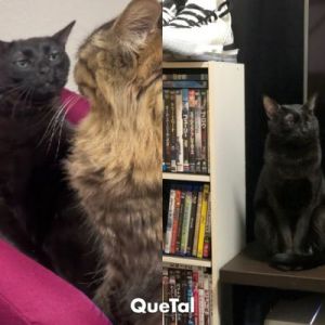 Que Tal Virtual | Revista Sociales San Luis Potosí, S.L.P. CONOCE A ...