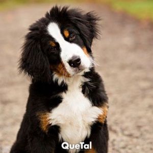 Que Tal Virtual | Revista Sociales San Luis Potosí, S.L.P. PREPARA LA ...