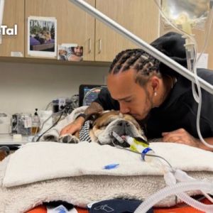 Que Tal Virtual | Revista Sociales San Luis Potosí, S.L.P. EL MEJOR ...