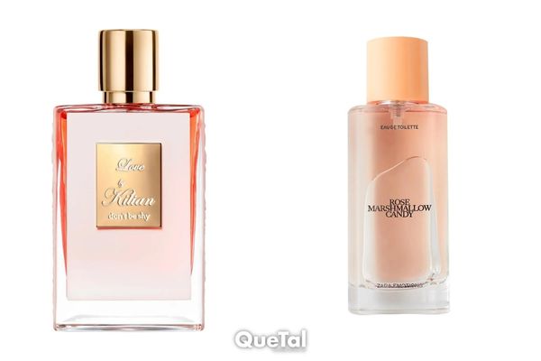 Que Tal Virtual | Revista Sociales San Luis Potosí, S.L.P. EL PERFUME ...